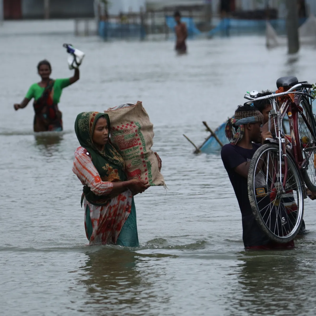 Unraveling the Flood: Science, Conspiracies, and the Impact of Cross ...